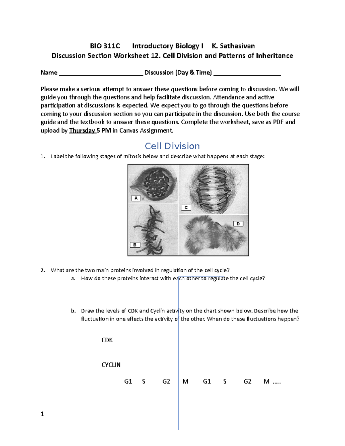 DSW 12. Cell Division and Genetics - Fall 2022 - BIO 311C Introductory ...
