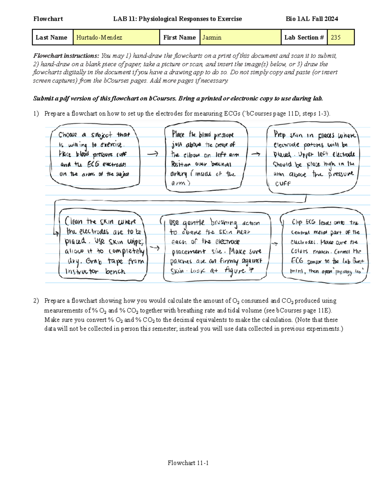 Lab 11 - Physiological Responses Flowchart BIO 1aL - Flowchart LAB 11: Physiological Responses ...