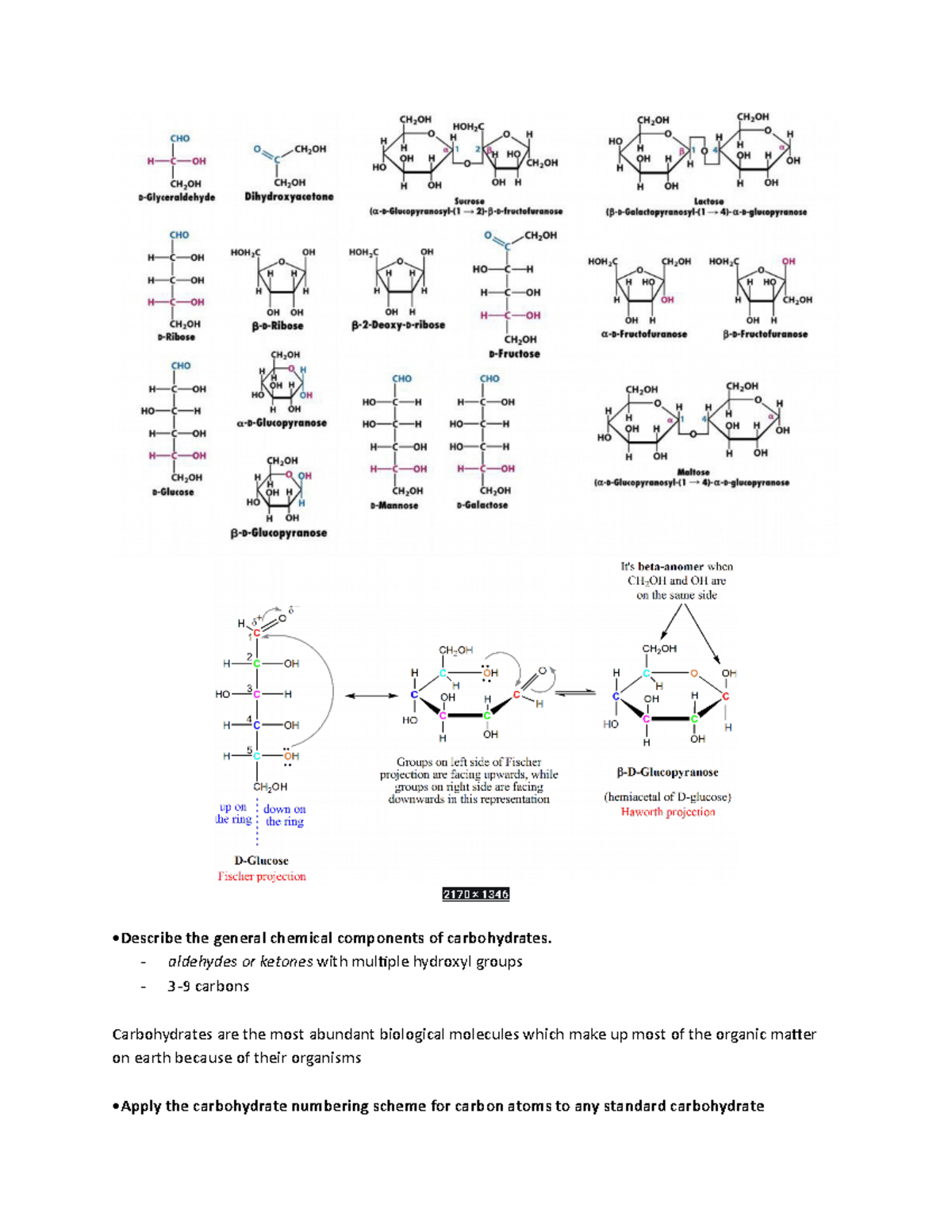 BIOC205 Lecture 20 Monosaccharides - 2170 × 1346 •Describe the general ...