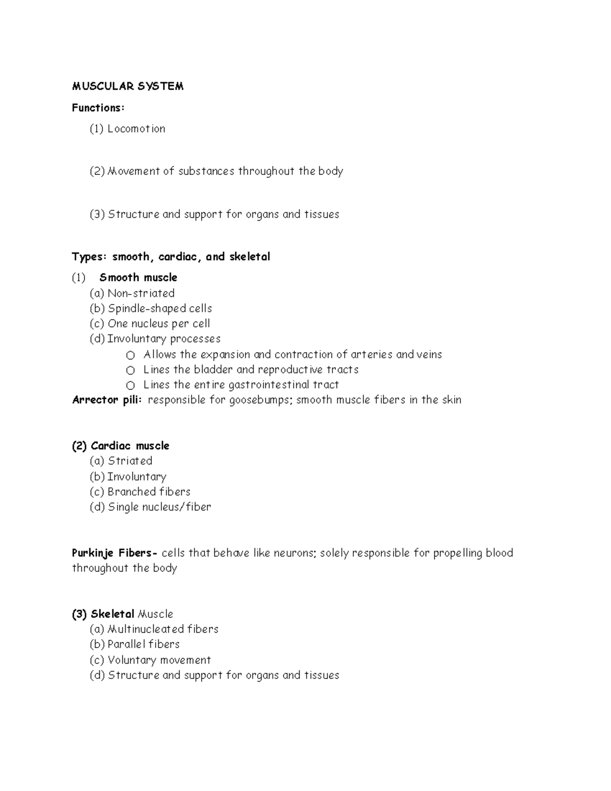 Muscular System Functions and Types - Studocu