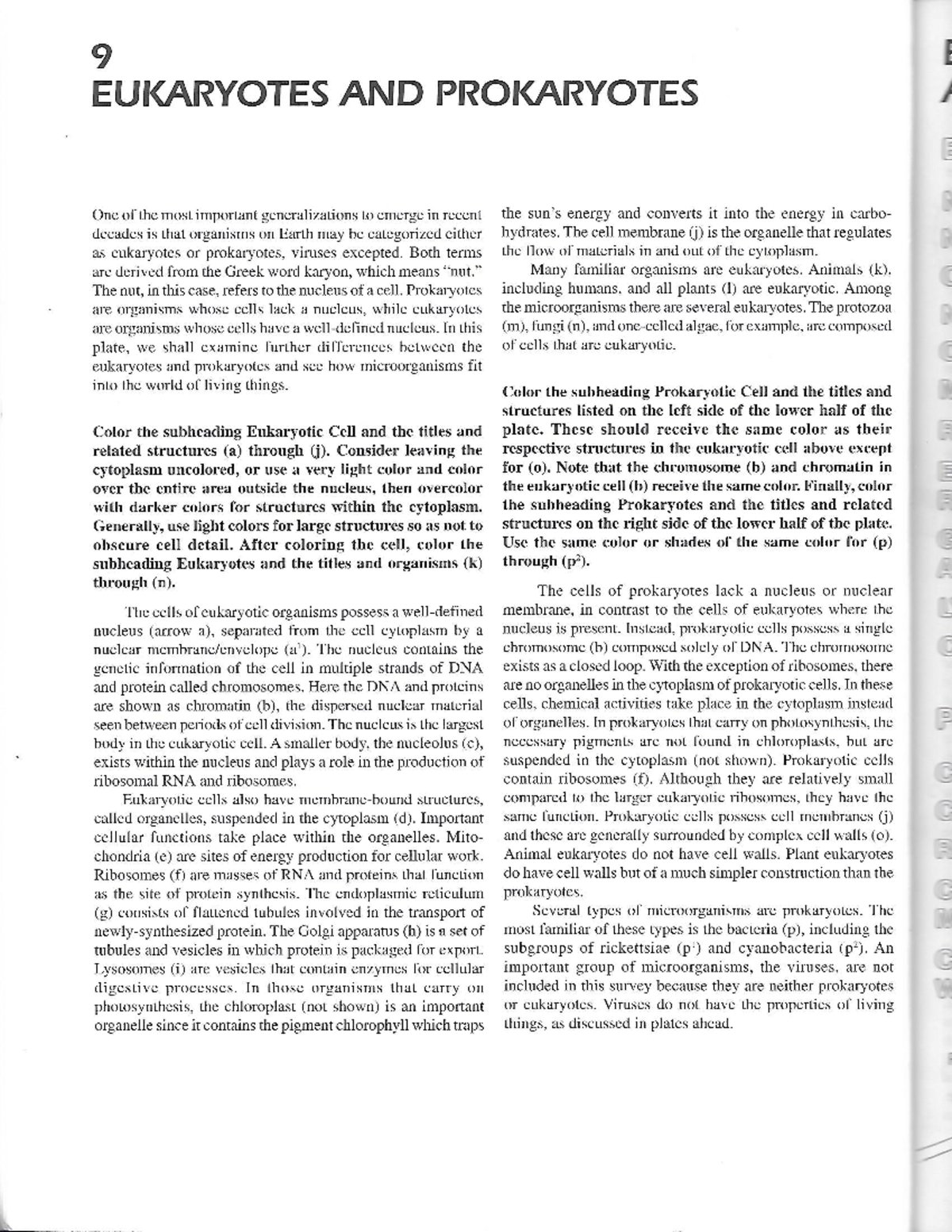 Pro vs Eu pg 1 - Lecture Exam 1 Study Guide - BIOL-125 - Studocu