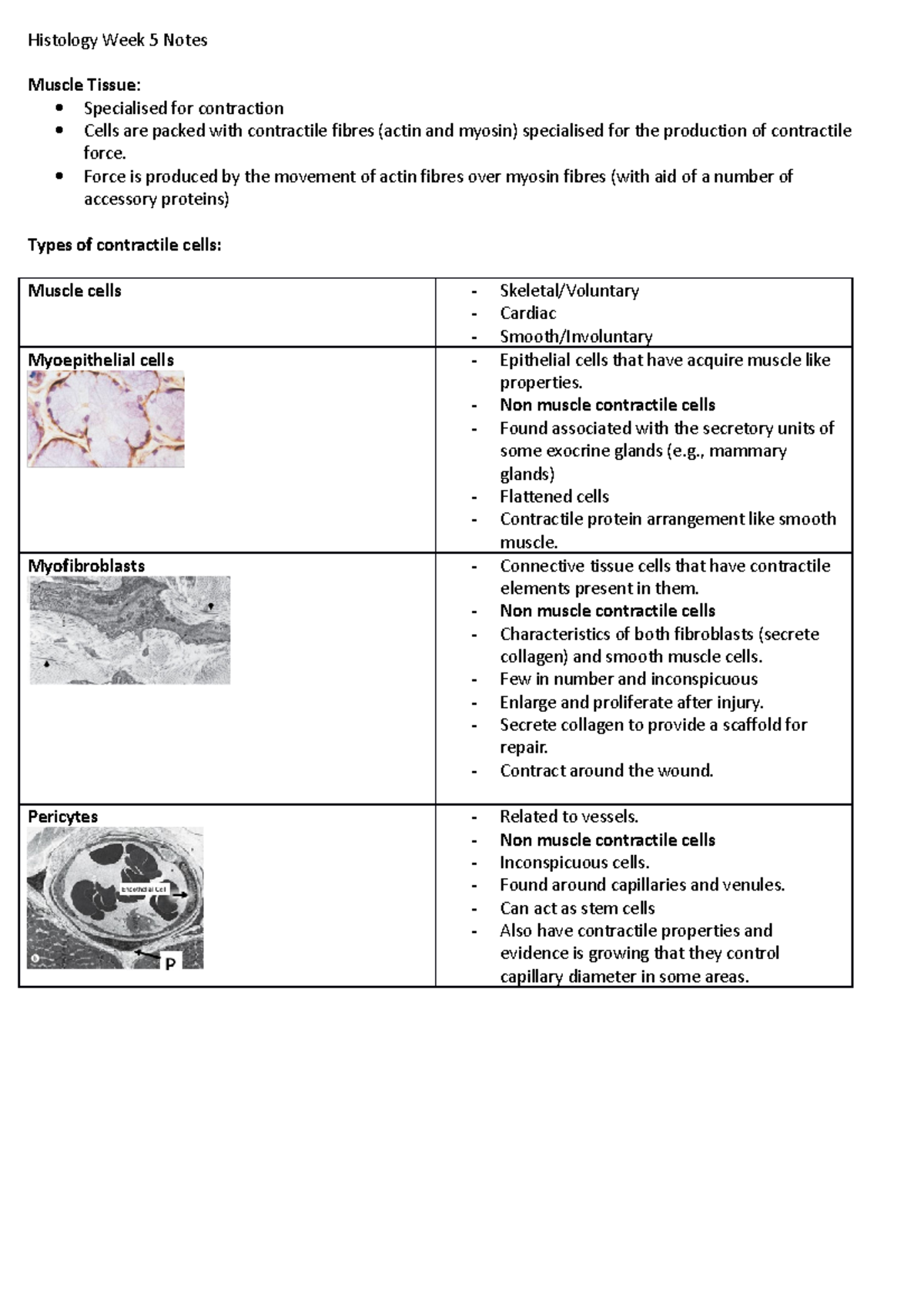 W5 Muscle Tissue - Week 7 - Histology Week 5 Notes Muscle Tissue ...