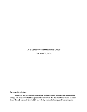 Velocity and Acceleration Lab Report - Average Velocity, Instantaneous ...