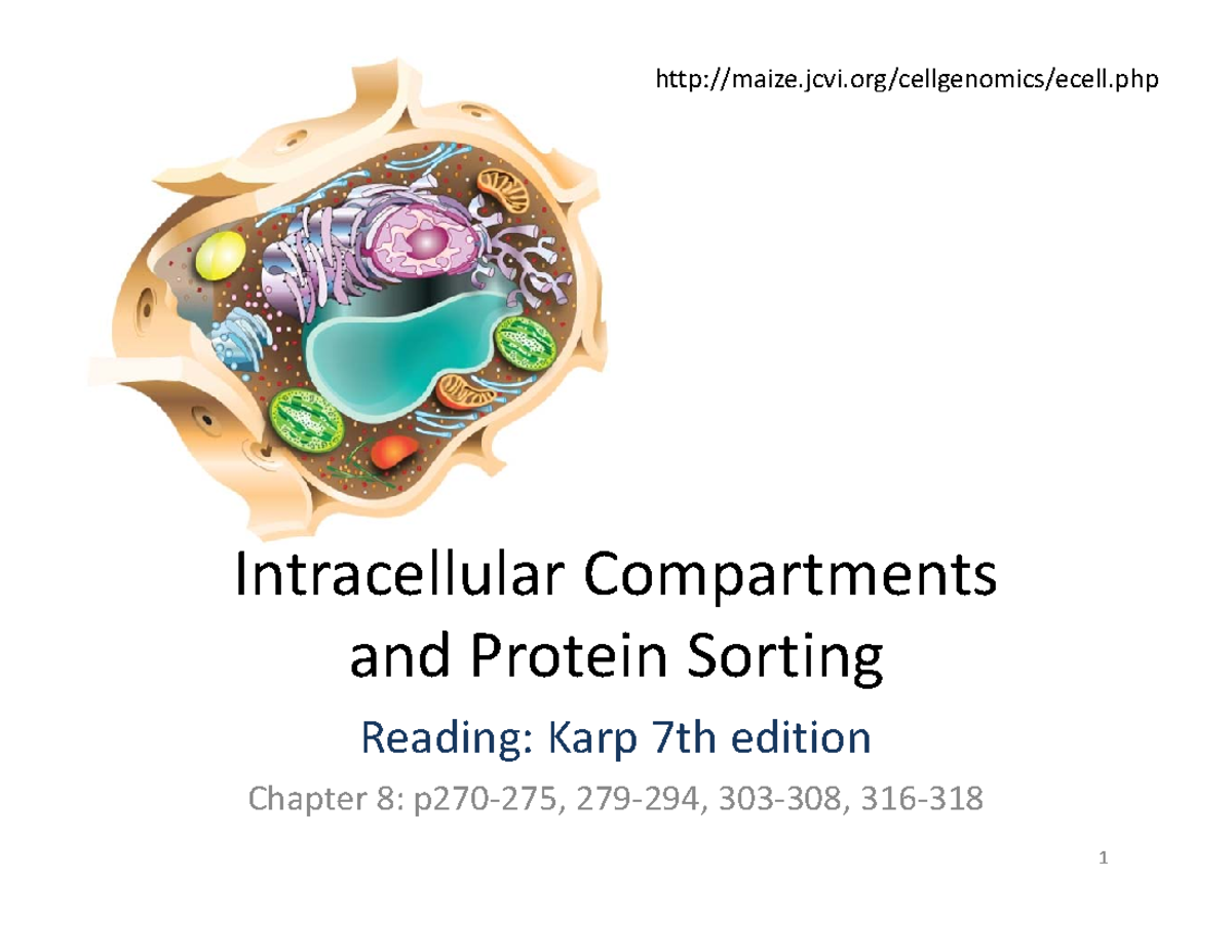 Bio Week3 - Cell and Molecular Biology -BIO130 Winter Semester-Yip ...