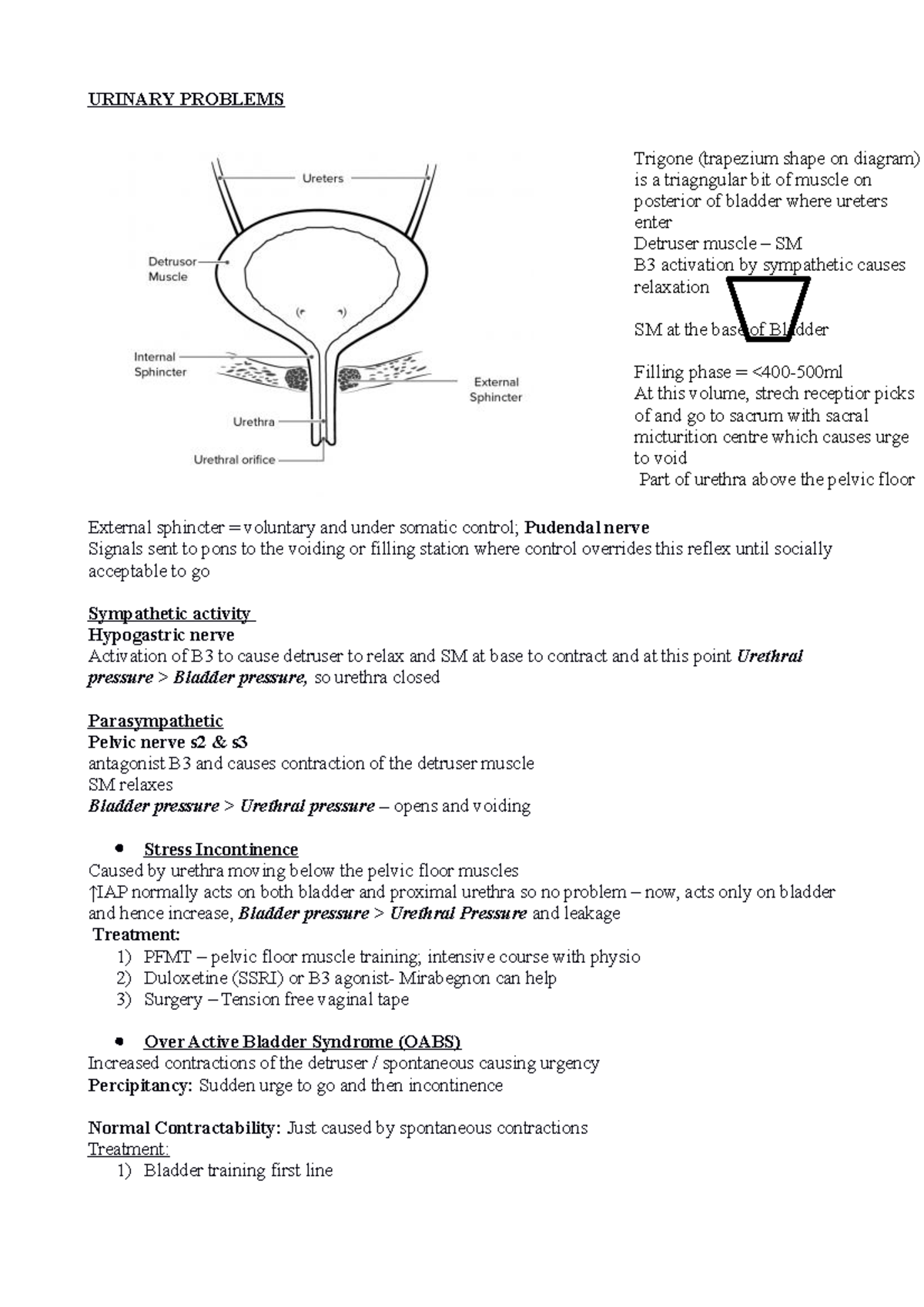 Geriatrics - URINARY PROBLEMS Trigone (trapezium shape on diagram) is a ...
