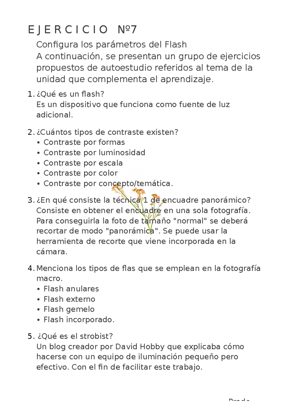 Preguntas, Ejercicio 7- Prado, Guadalupe - E J E R C I C I O Nº Configura los parámetros del ...