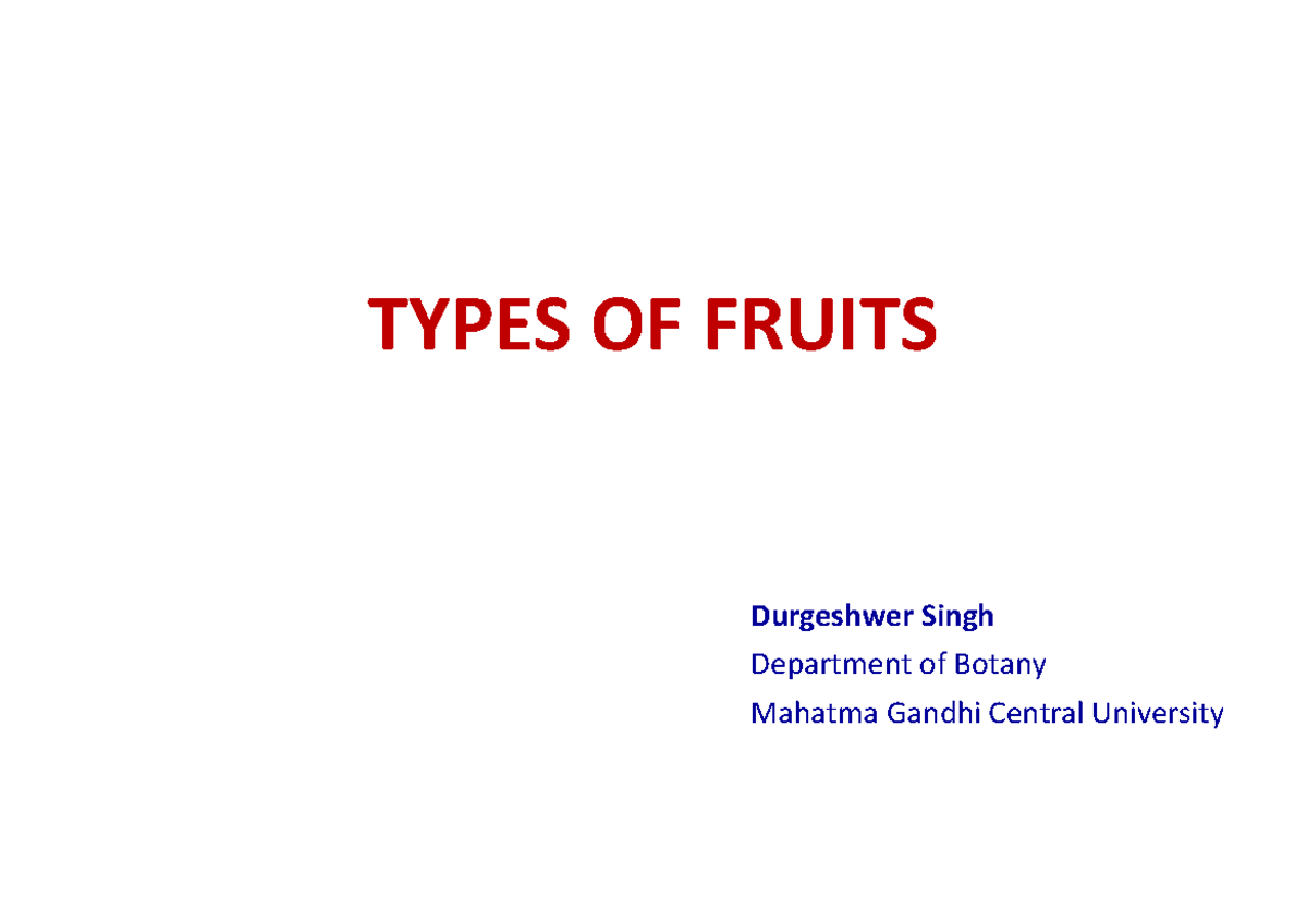 Study of fruits - These are indehiscent - Drupe - Berry - Pepo ...