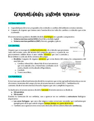 Tipos DE Torax - muy utuil - TIPOS DE TORAX. Tipo de torax: normolíneo ...