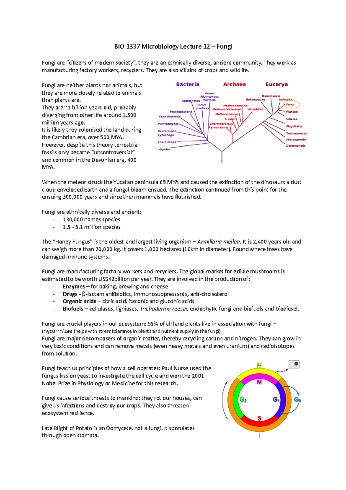 BIO 1337 Lecture 12 - Fungi - BIO 1337 Microbiology Lecture 12 – Fungi ...