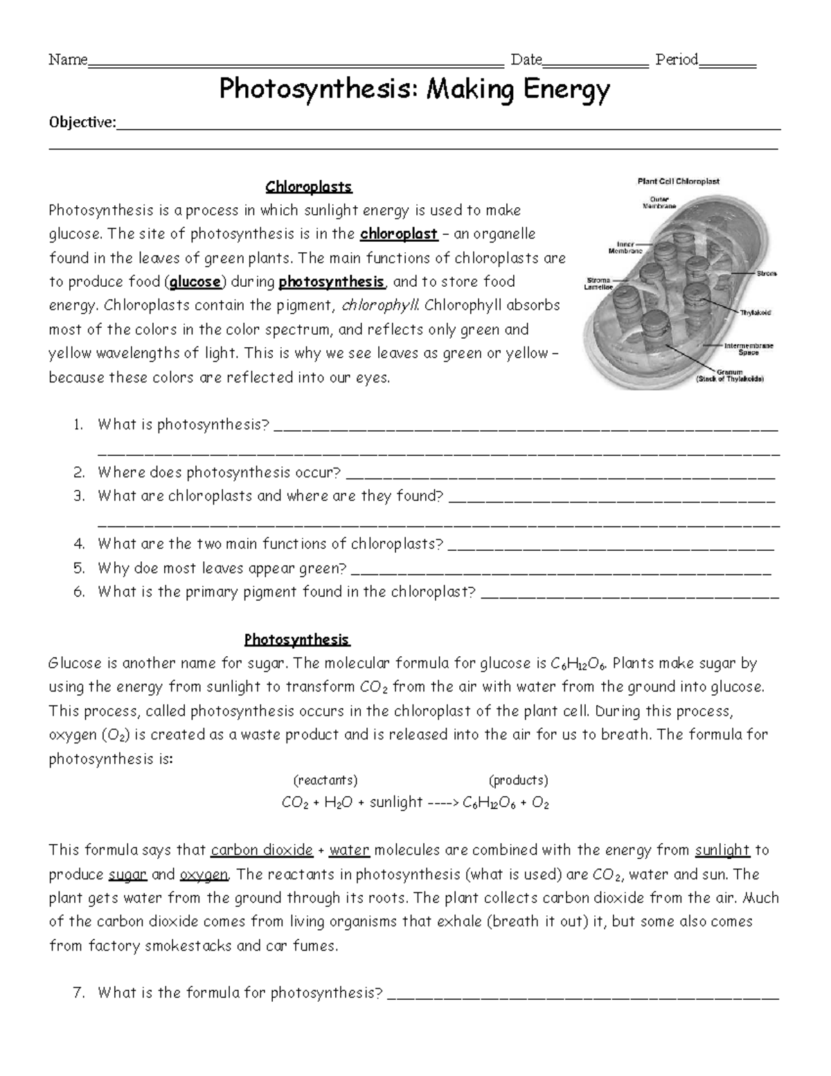 Photosynthesis Assignment - Photosynthesis: Making Energy - Studocu