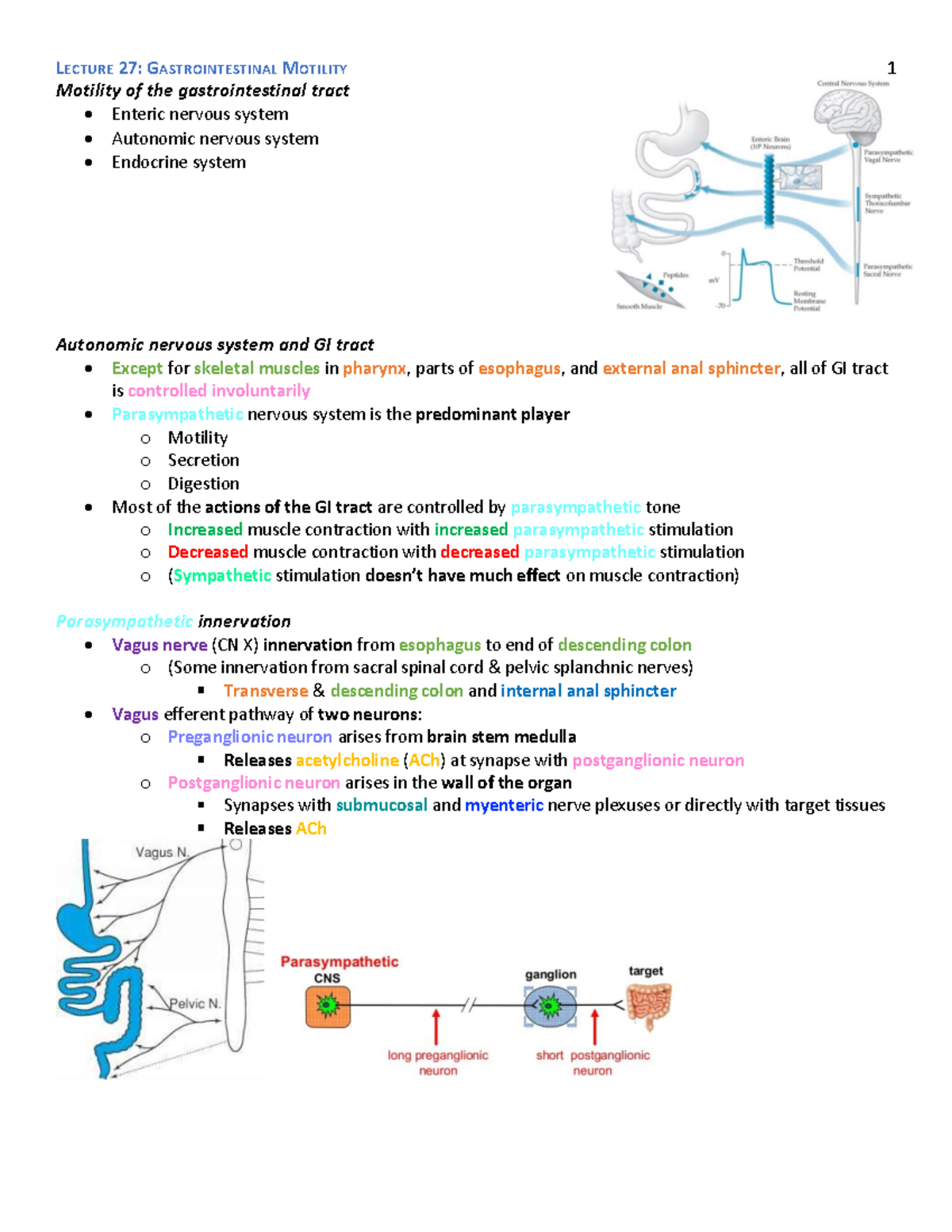 Lecture 27- Gastrointestinal Motility - Motility of the ...