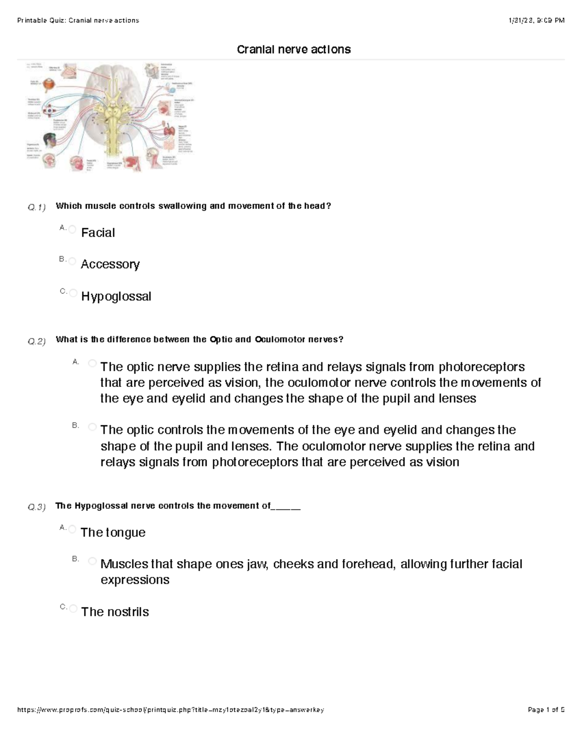 Cranial nerve actions - This is a practice quiz to help you be ...
