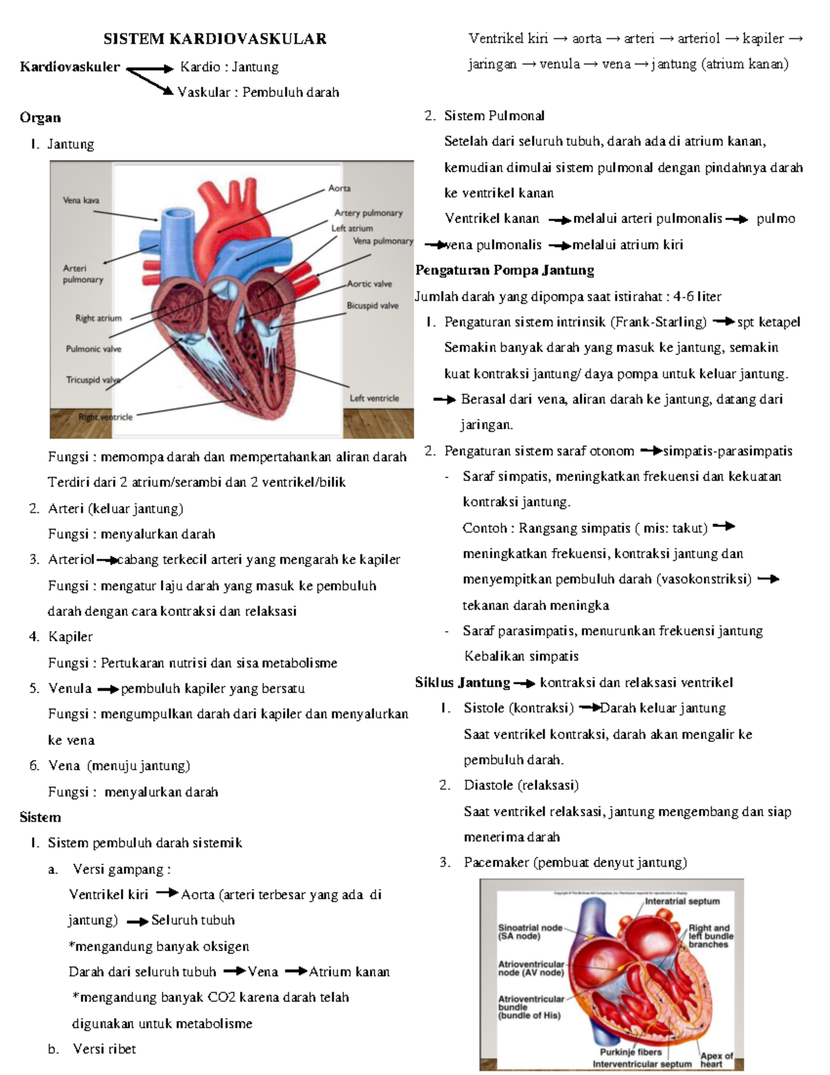 4 Sistem Kardiovaskular - SISTEM KARDIOVASKULAR Kardiovaskuler Kardio : Jantung Vaskular ...