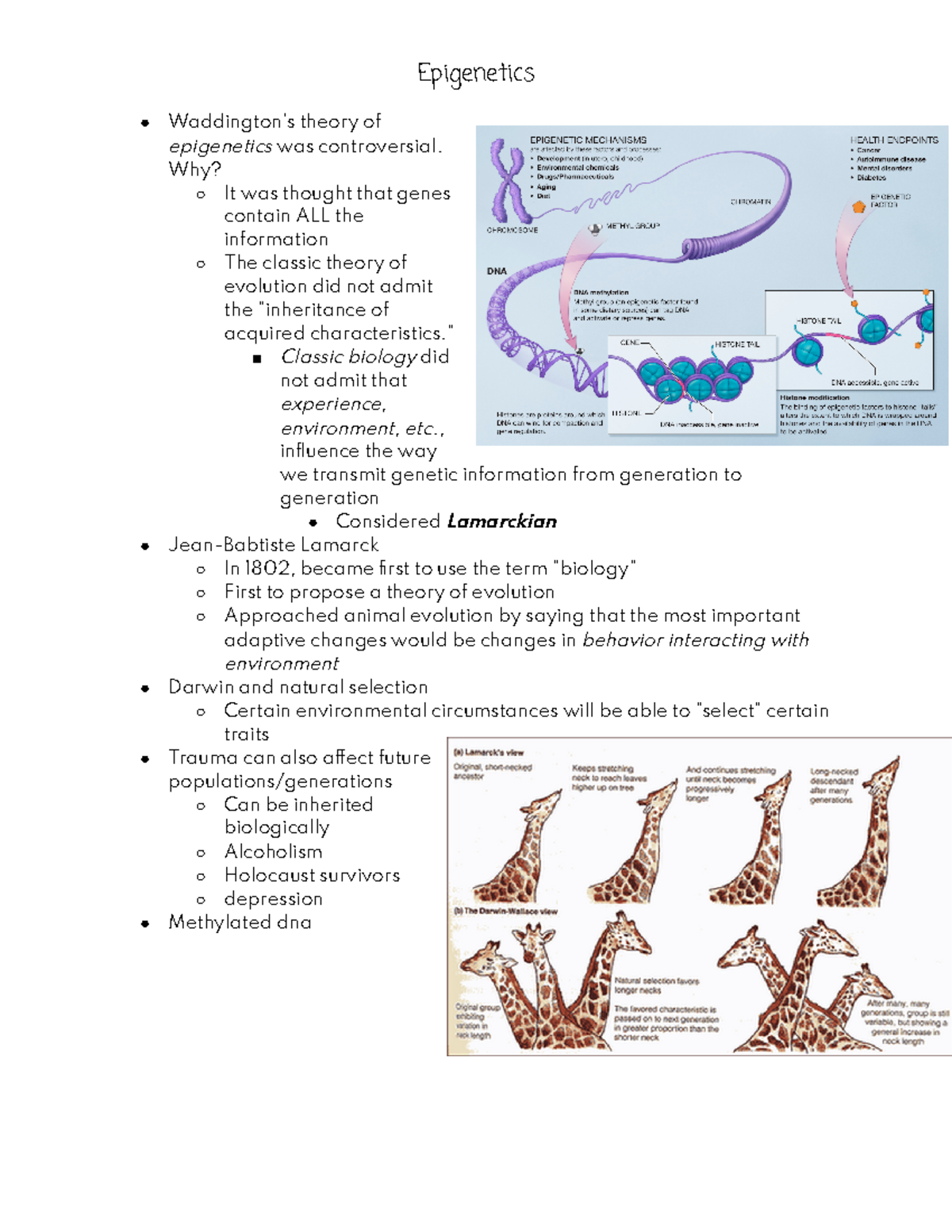 Biology Notes 2-15 - Google Docs - Epigenetics Waddington’s theory of ...
