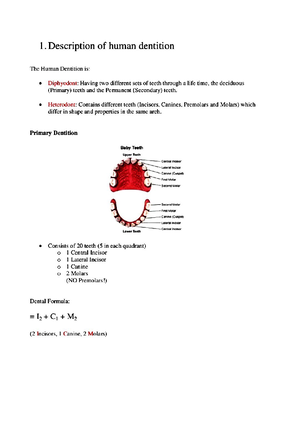 Phases of tooth eruption study material - BDS - Studocu