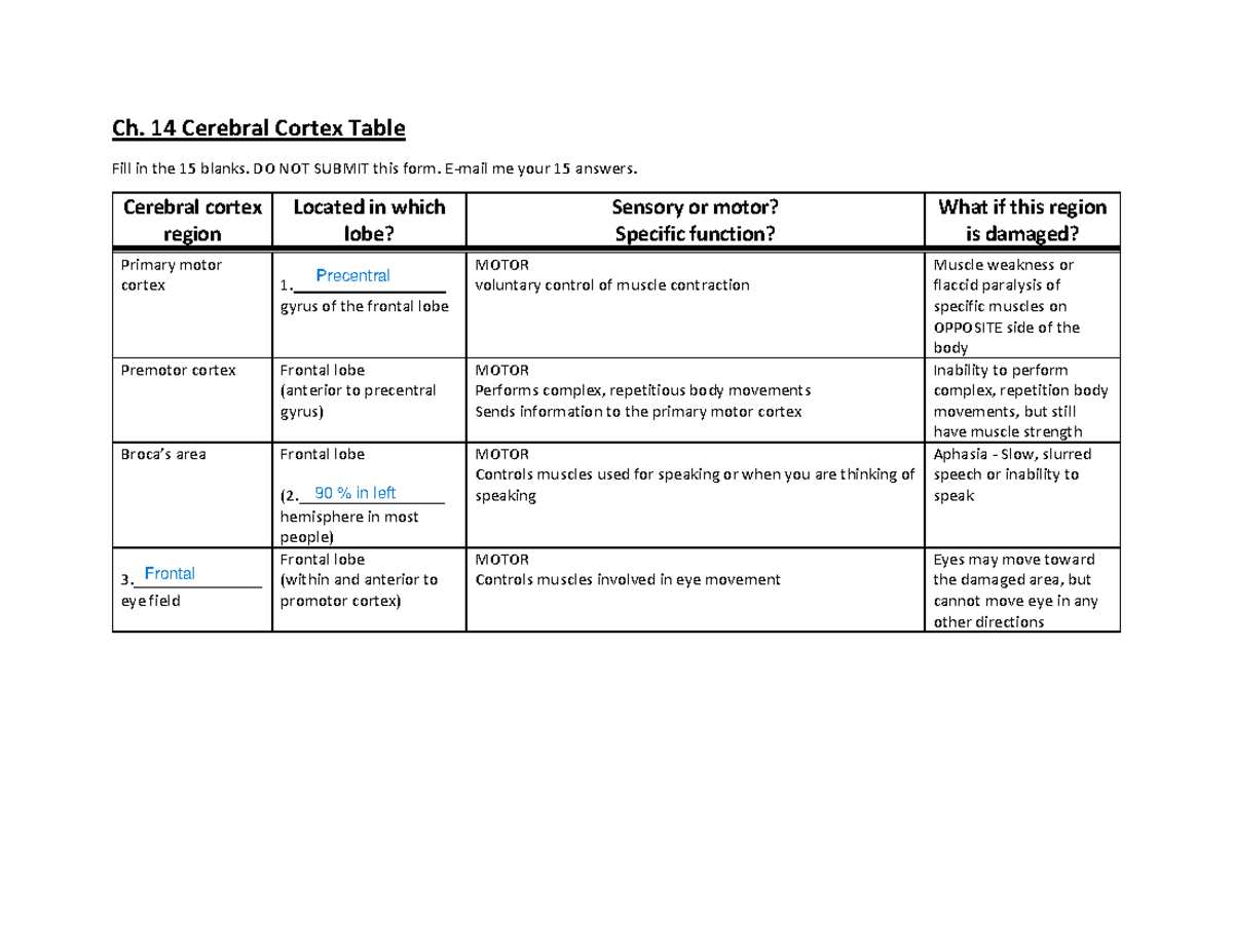 Cortex table ch 14 - Ch. 14 Cerebral Cortex Table Fill in the 15 blanks ...