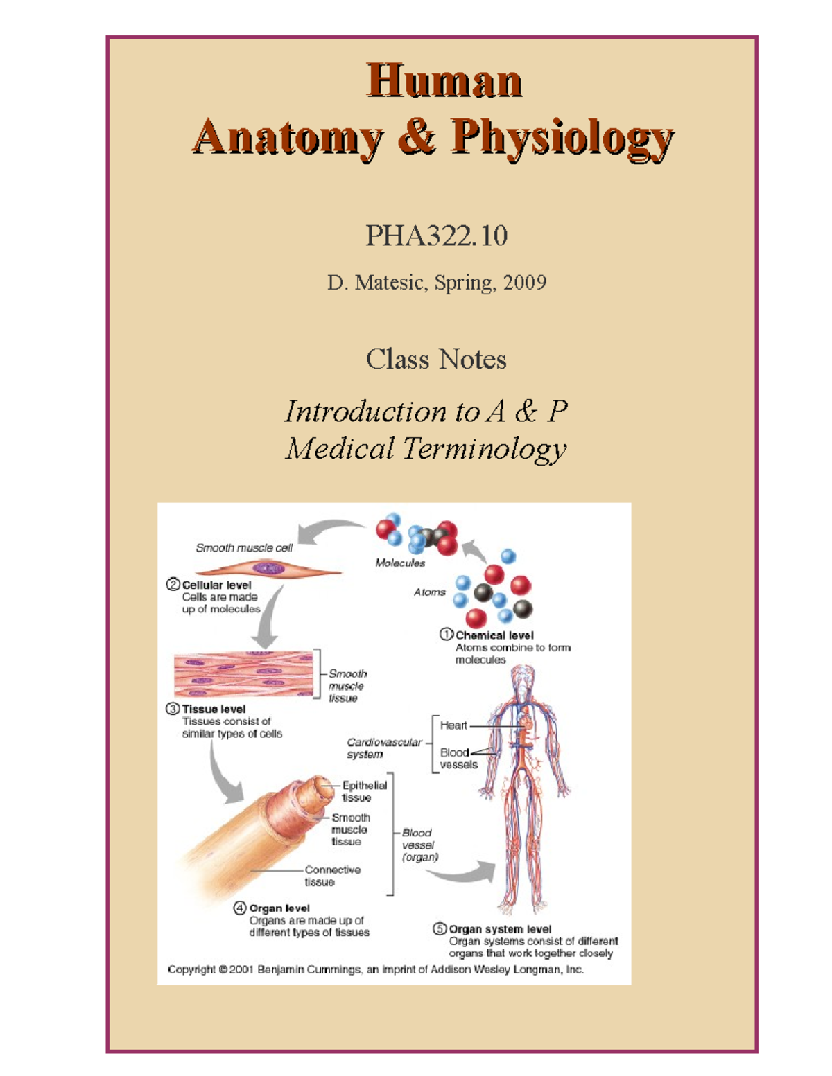 Med Terms - Human Human Anatomy & Physiology Anatomy & Physiology ...