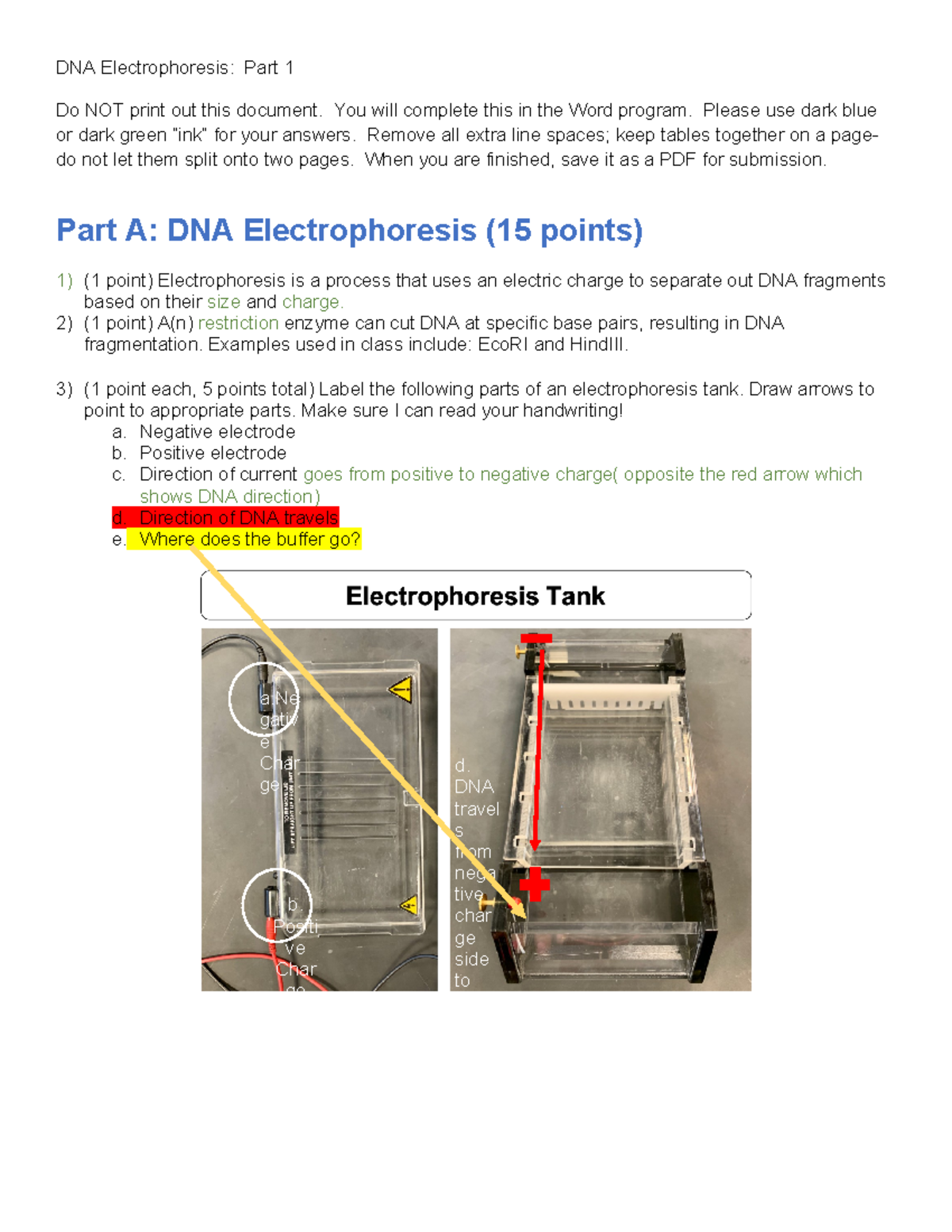 DNA Electrophoresis Lab Report - DNA Electrophoresis: Part 1 Do NOT ...