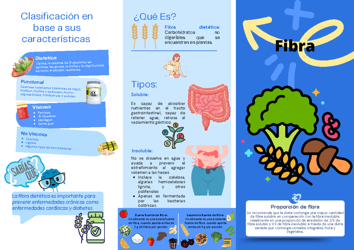 Tríptico fibra - No Viscosa Lignina, la celulosa, los β-glucanos, las ...