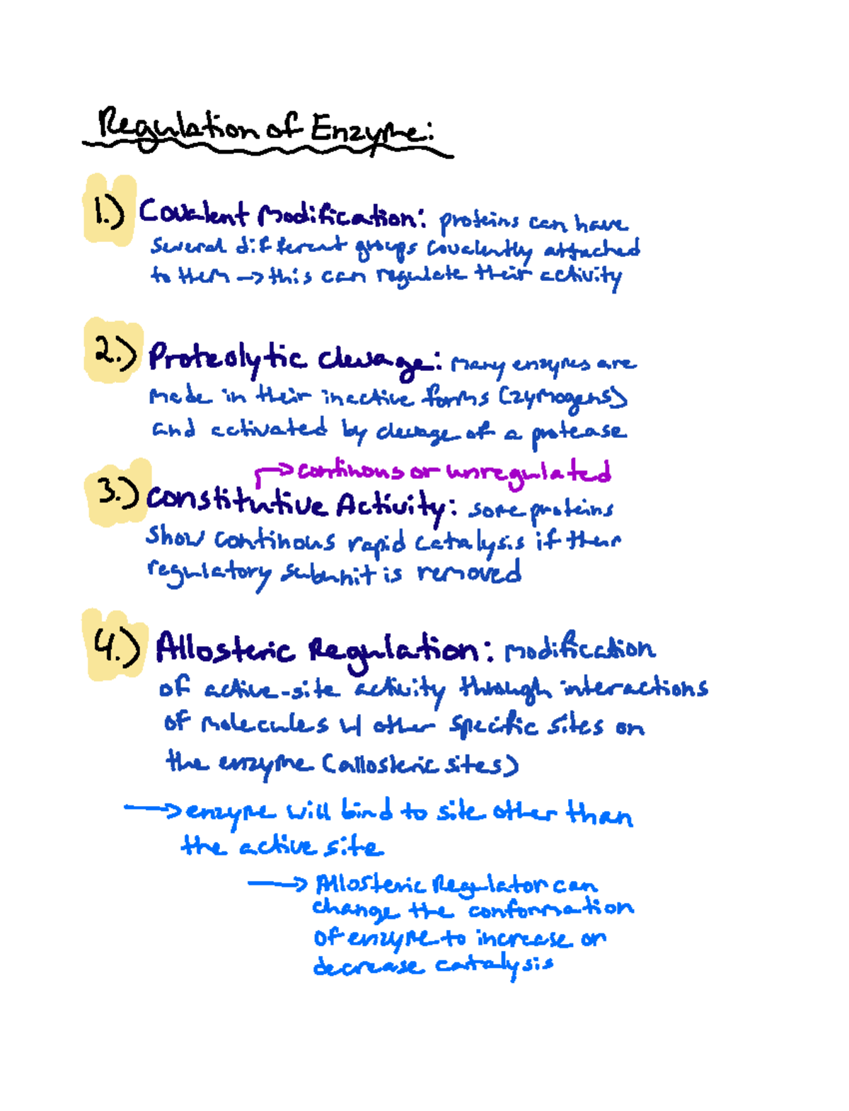 Enzyme Kinetics - Regulationofenzymen 1 Covalent modification proteins ...