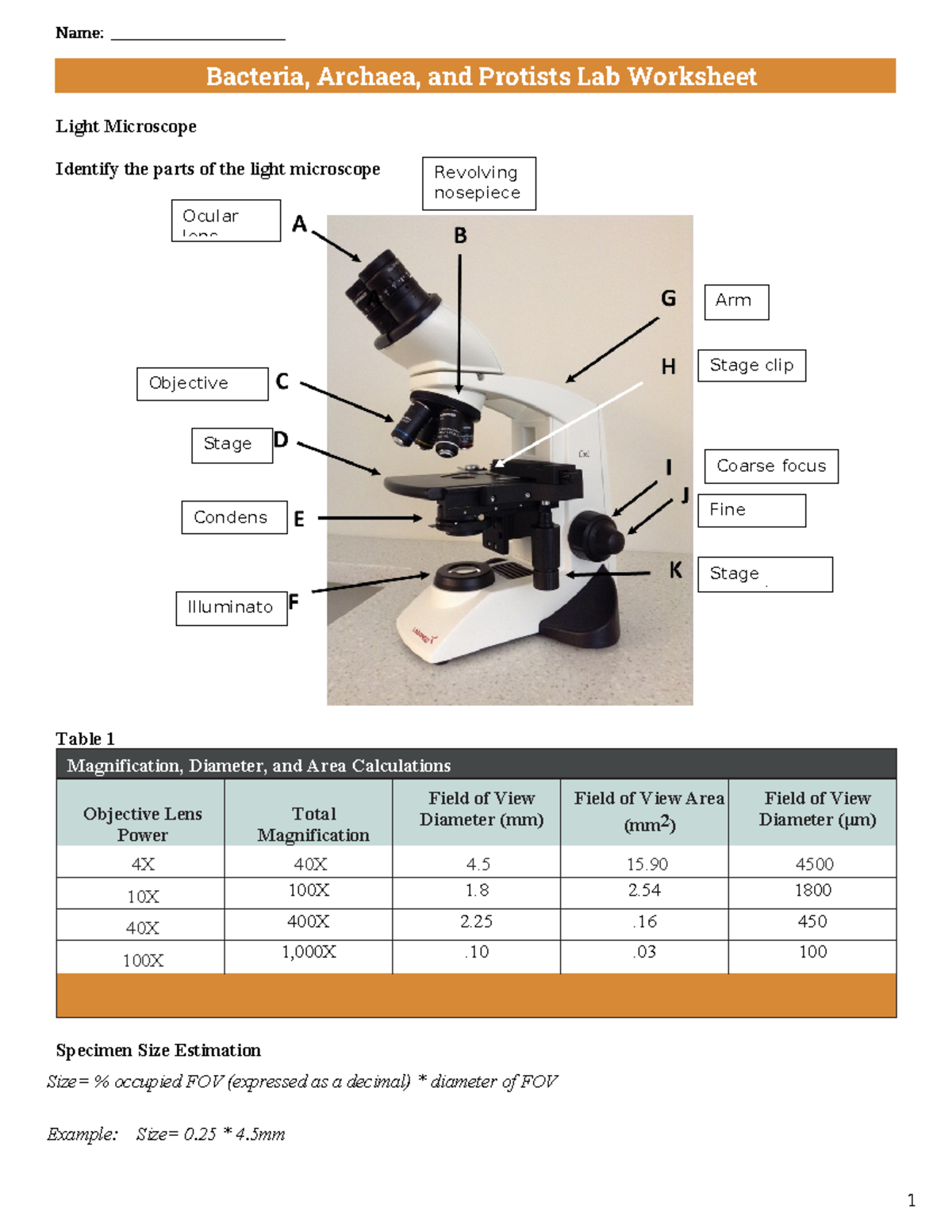 Bacteria lab worksheet - Bacteria, Archaea, and Protists Lab Worksheet ...