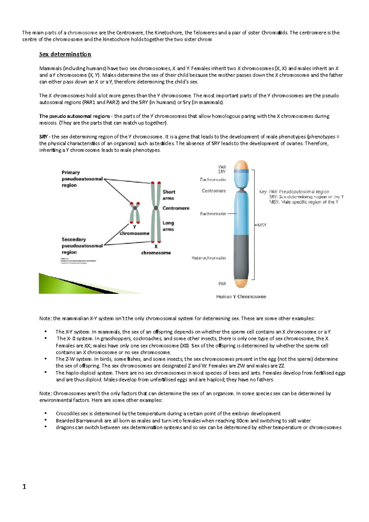 Genetics notes - - Studocu