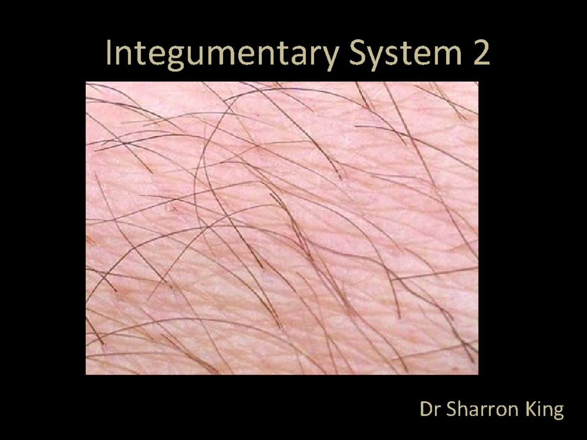 Lecture slides, lecture 2 - integumentary system part two ...
