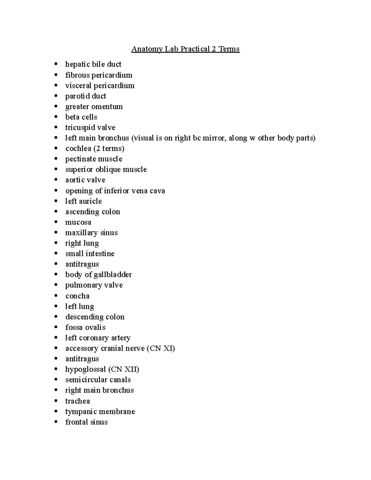 Anatomy Lab Practical 2 Terms - Anatomy Lab Practical 2 Terms hepatic ...
