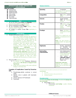 Mycv lab w8 - LEC LEC LEC W 8 W 8 W 8 : : : Yeast Yeast Yeast and and ...