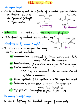 Metabolic Pathways - Review of complete pathway of glycolysis, citric ...