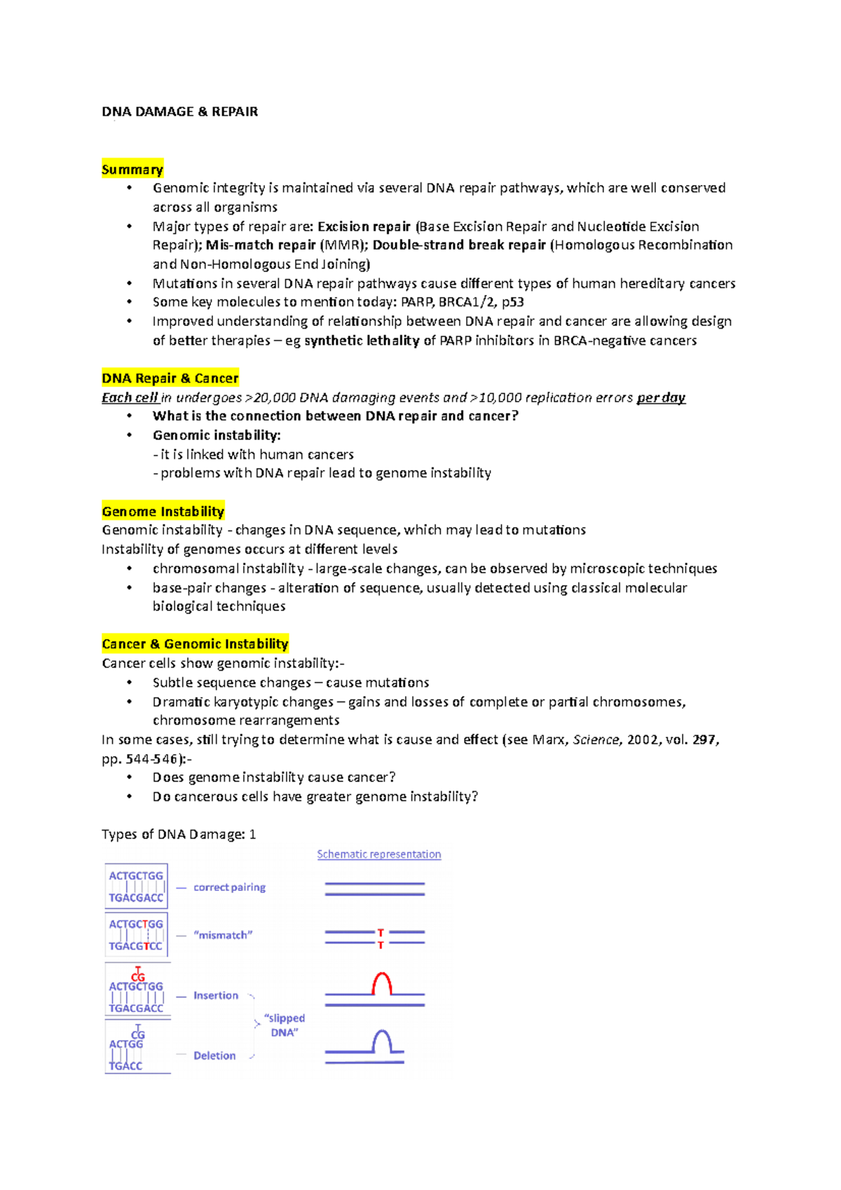 DNA Damage and Repair - Lecture notes 2-6 - DNA DAMAGE & REPAIR Summary ...