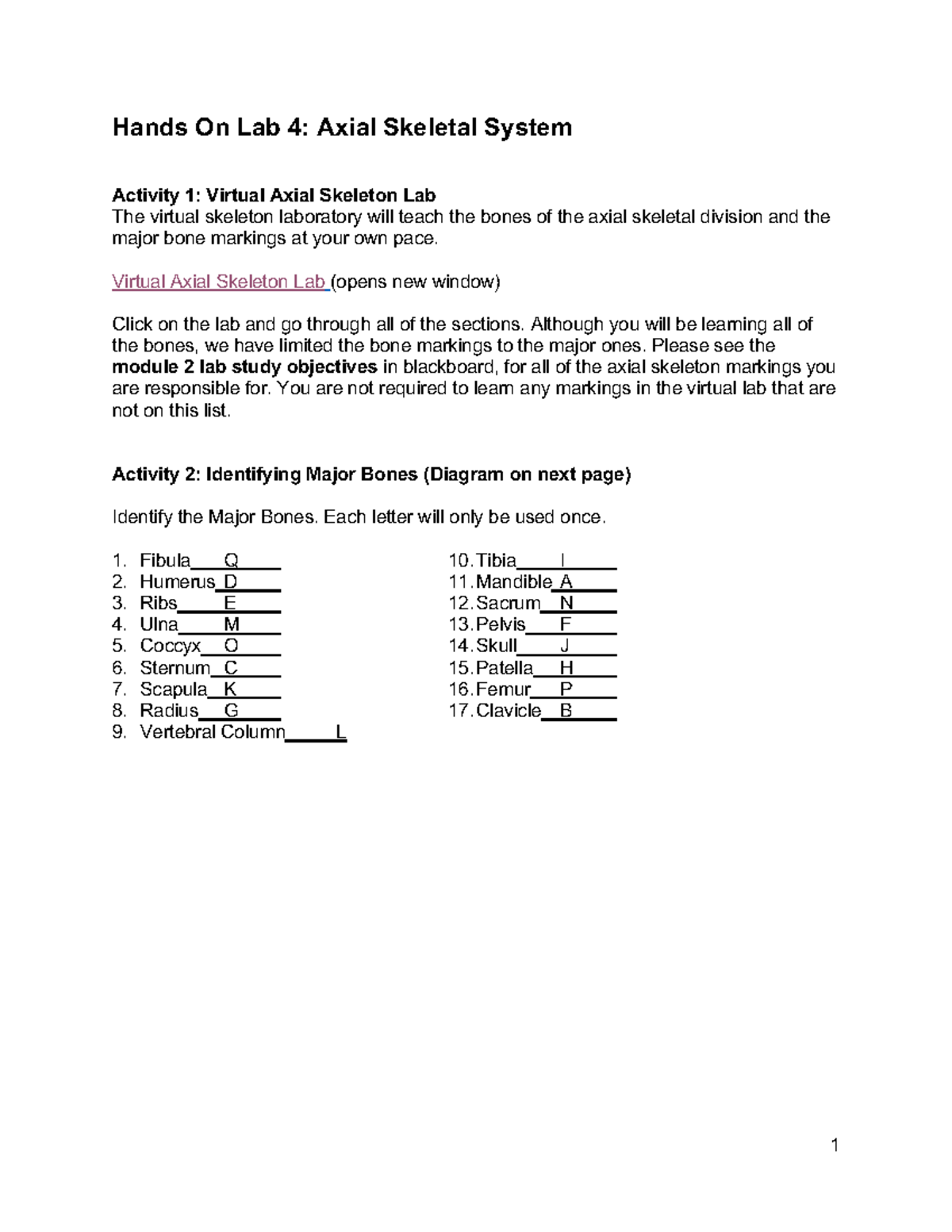 Axial lab - labs - Hands On Lab 4: Axial Skeletal System Activity 1: Virtual Axial Skeleton Lab ...