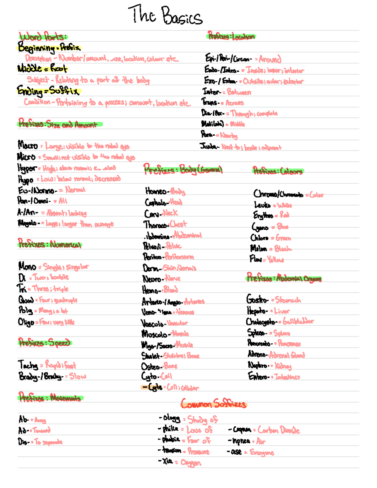 The Basics Terms - The Basics Word Parts Prefixes location Beginning ...