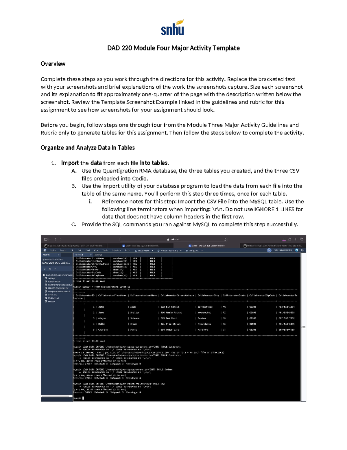 Talia Johnson Module Four Major Activity Template - DAD 220 Module Four ...