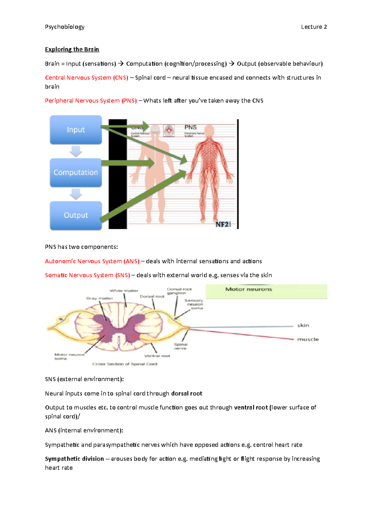 Lecture 2 - Exploring the Brain - Psychobiology Lecture 2 Exploring the ...
