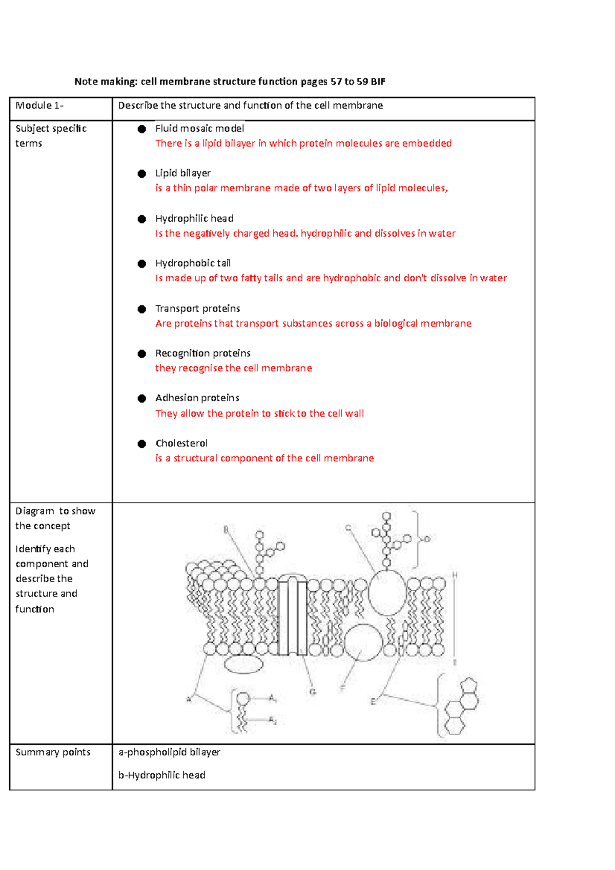 Note making fluid mosaic model - Note making: cell membrane structure ...