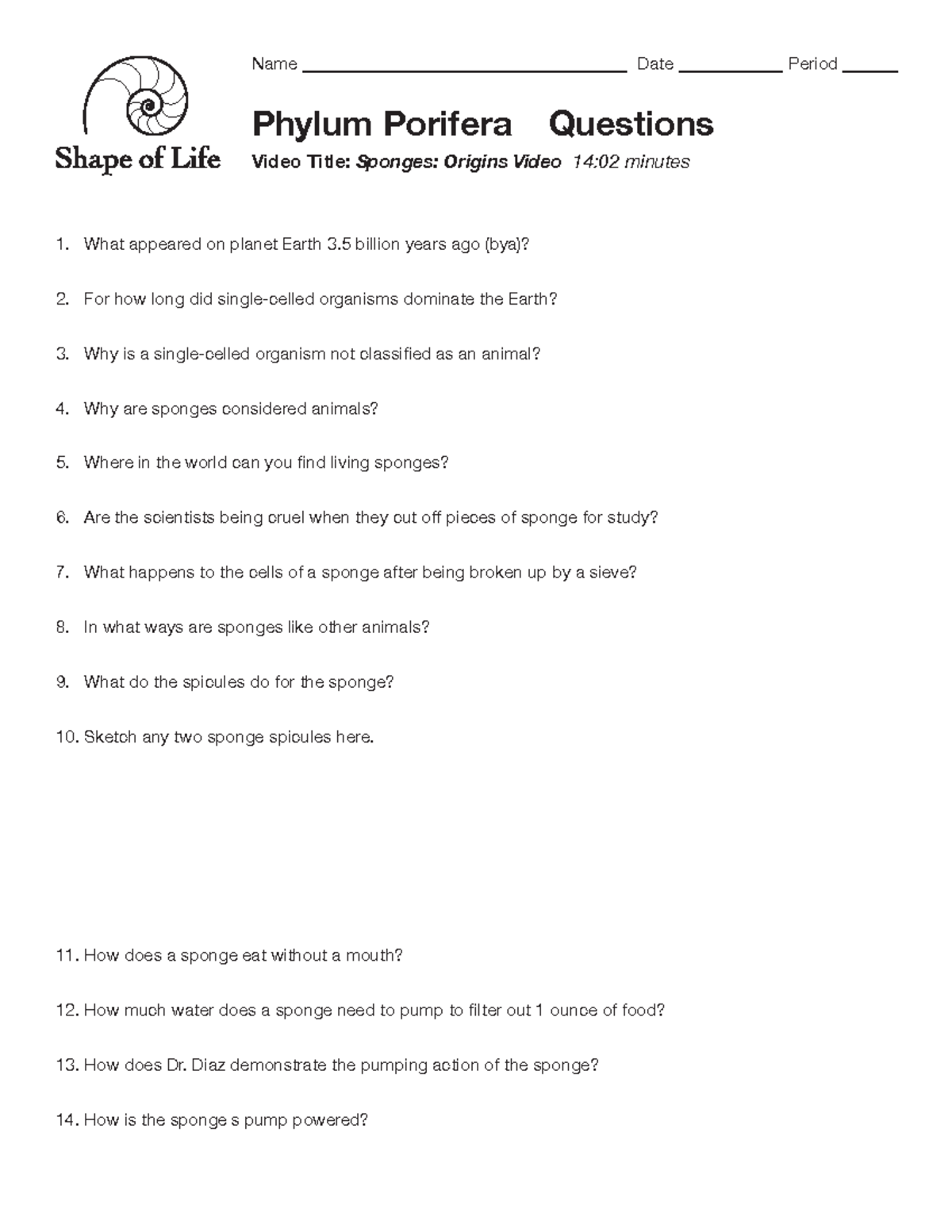 SOL phylum-porifera-questions Use this - Name Date Period Phylum ...