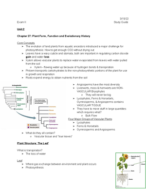 Reproduction+Development Practice - Answer Key - Biology 1102 ...