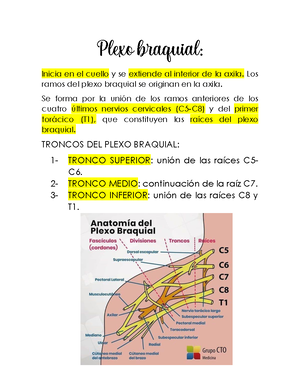 [Solved] la fosa navicular se encuentra en a parte inicial de la uretra ...