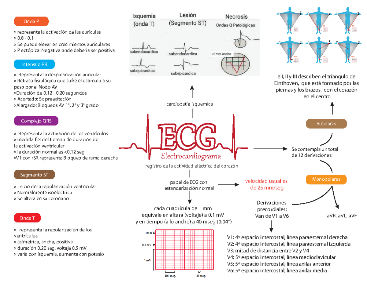 ECG MAPA - cardiopatias congenitas, electrocardiograma, valvulopatia mitral, focos de ...