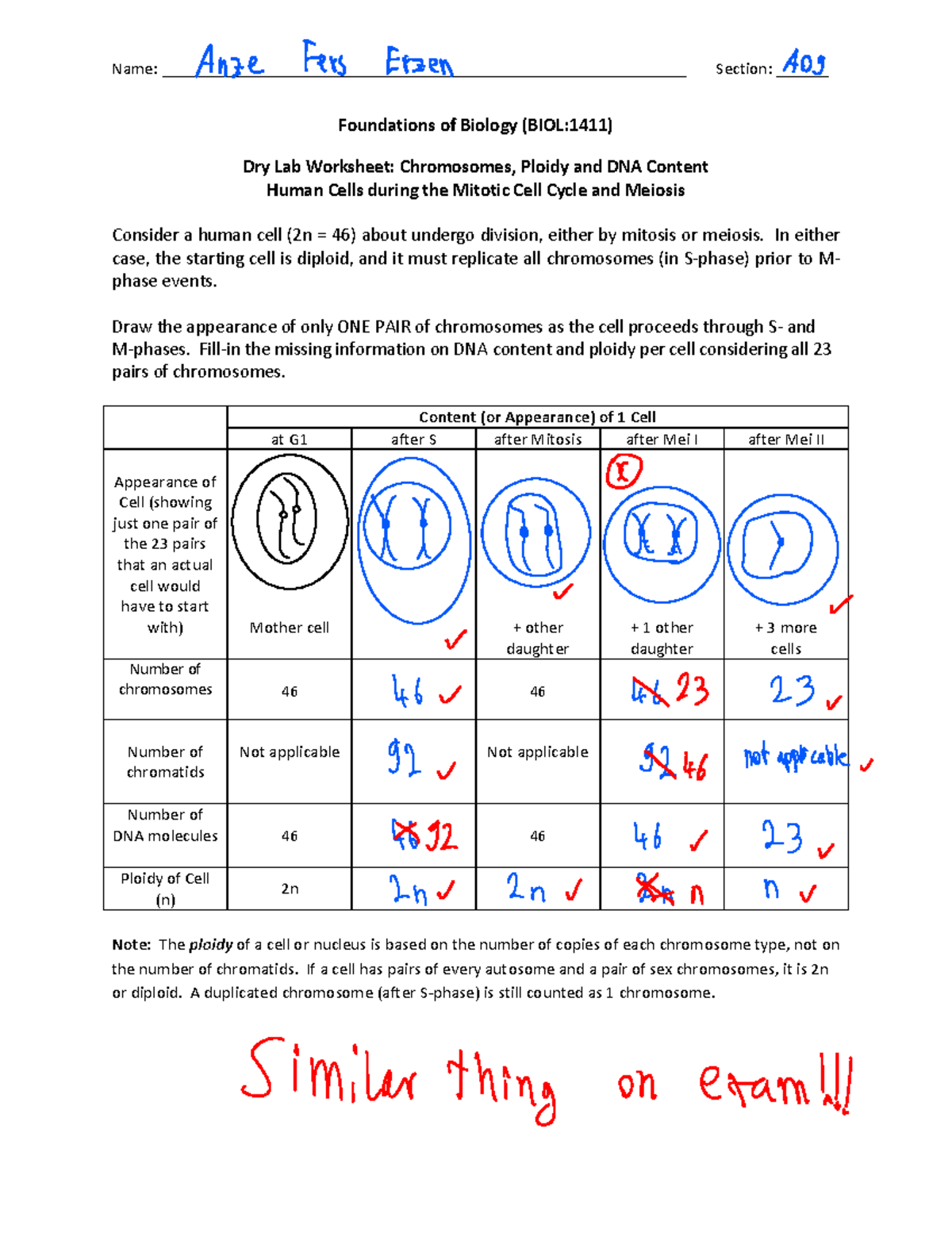 Worksheet Ploidy and DNA Content - Name: __ - Studocu