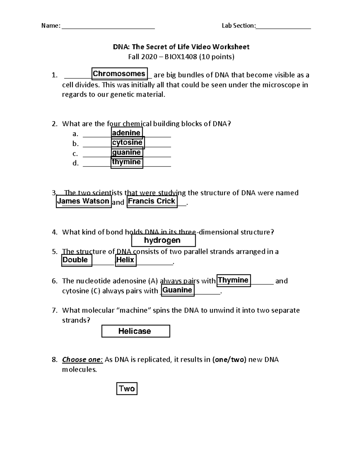 DNA worksheet - 1408 - Name: Lab DNA: The Secret of Life Video ...