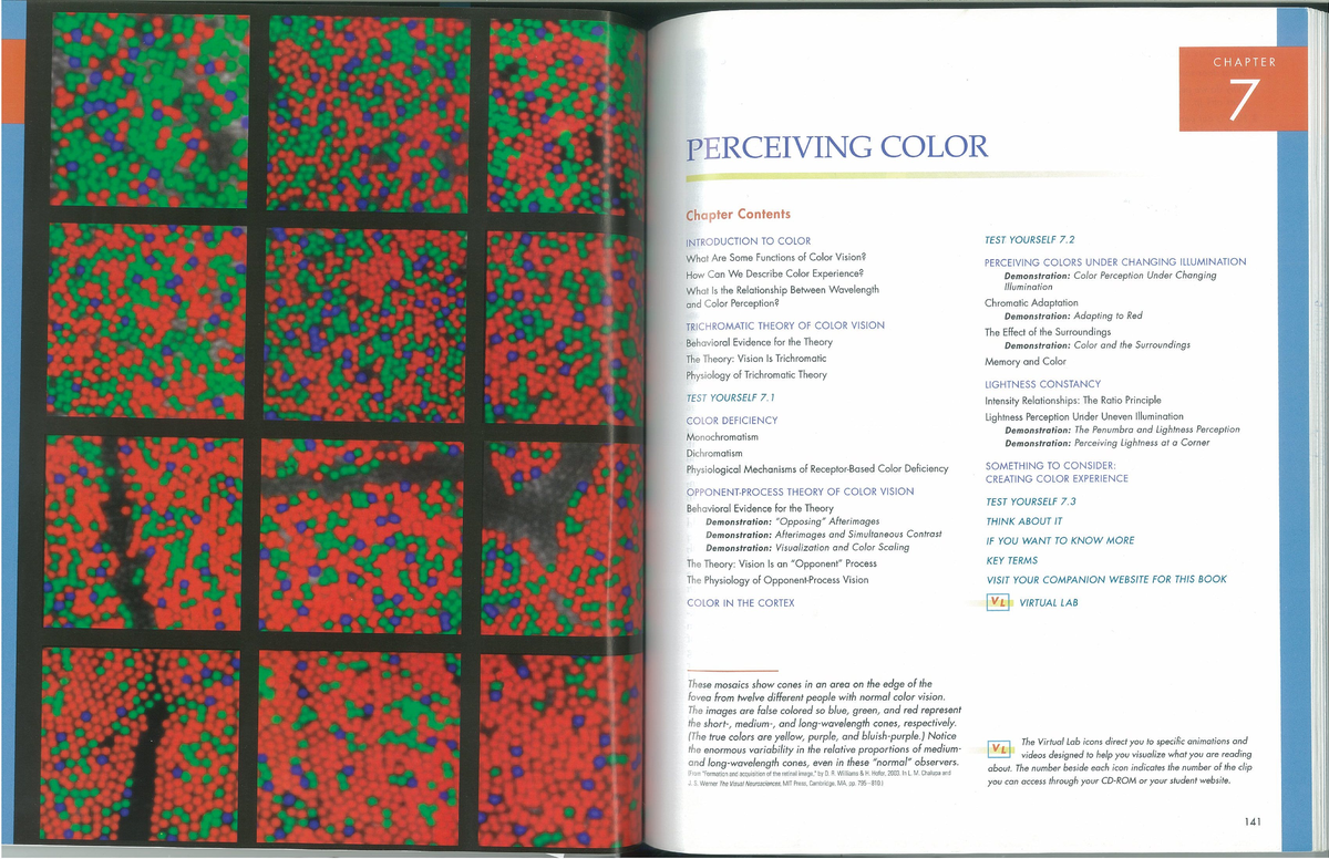 Goldstein 2007 Chapitre 7 Ed7 Perceiving color - PSY4050 - Studocu