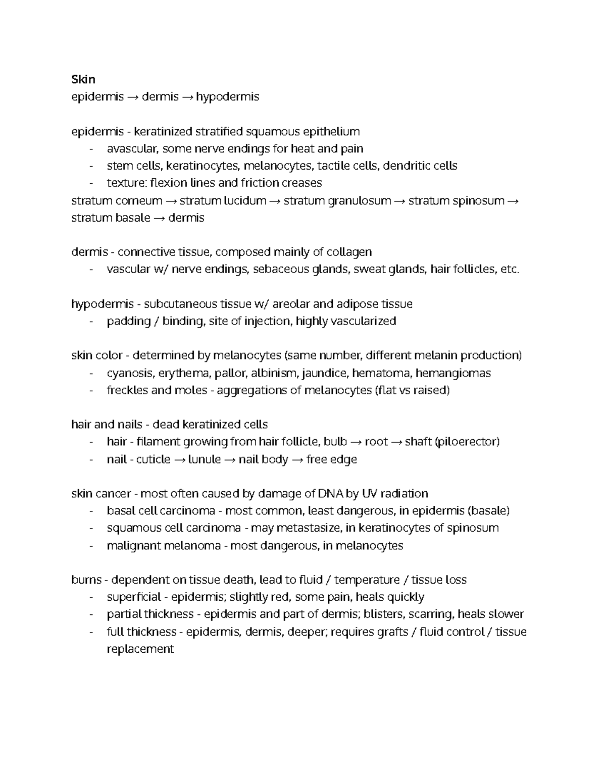 ERAU BIO 305 Integumentary System [Chapter 6] Notes - Skin epidermis → ...