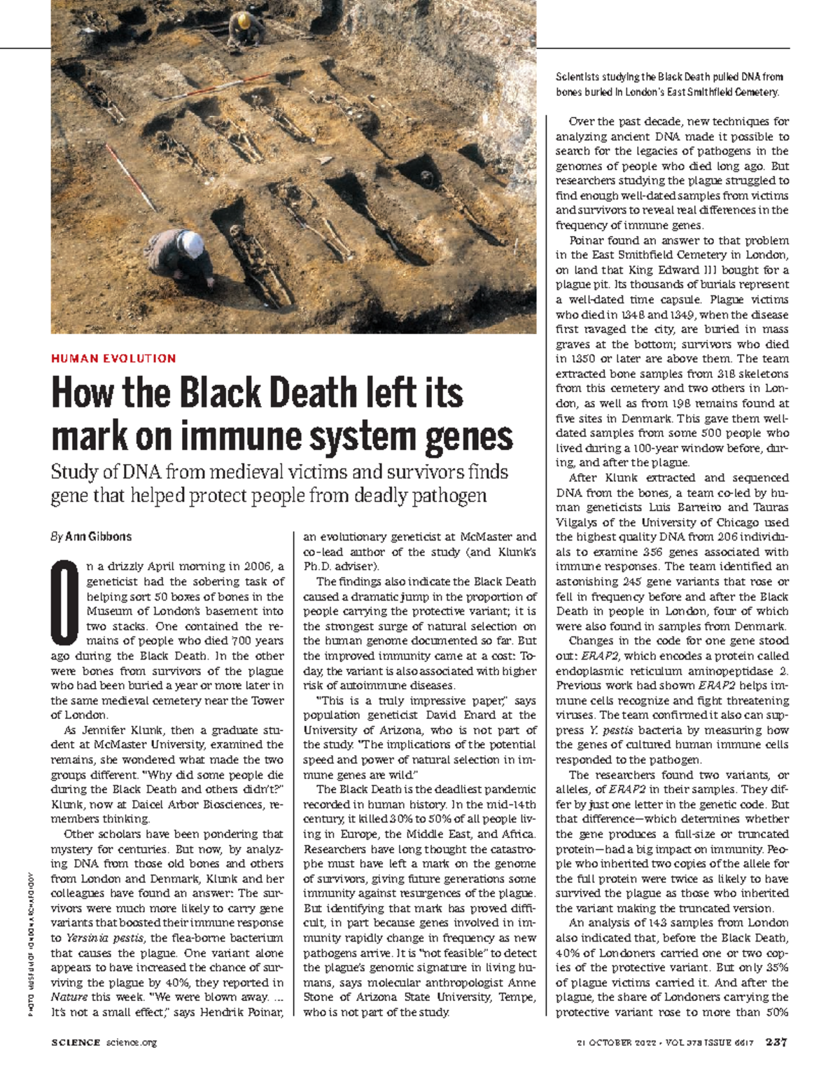 How Black Death Left its Mark on Immune system genes - SCIENCE science ...