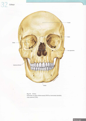 Osteologia Parte 3 - Ossos do Crânio 5 Osso nasal , ', ' 1 Frontal ...