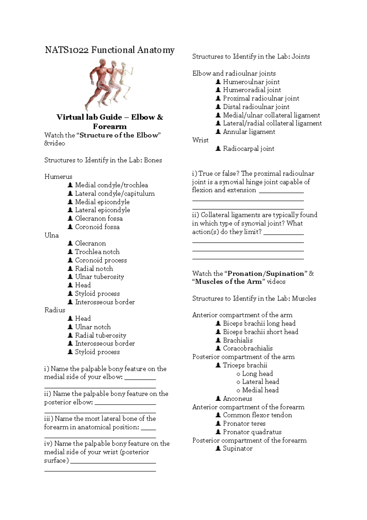 NATS1022 Functional Anatomy Lab Guide 7 - NATS1022 Functional Anatomy ...