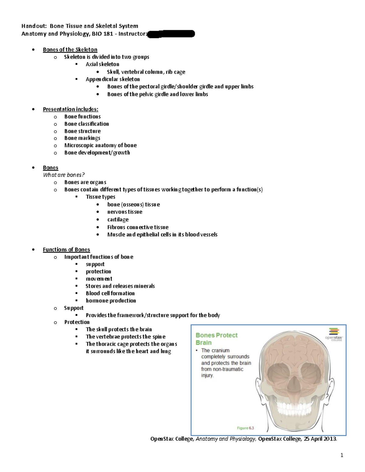Study Gudie Bone Tissue and Skeletal System - Anatomy and Physiology ...