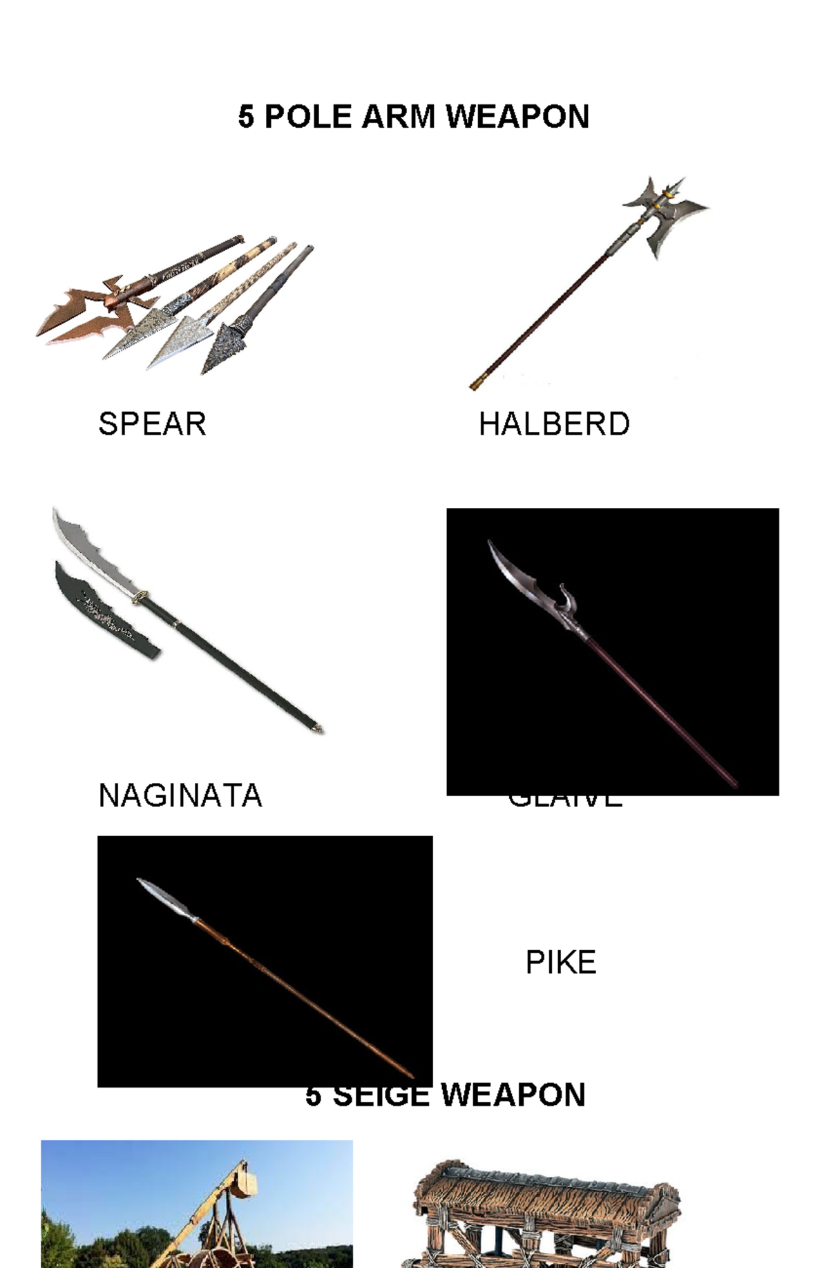 5 POLE ARM Weapon - Corporate law, social psychology - 5 POLE ARM ...