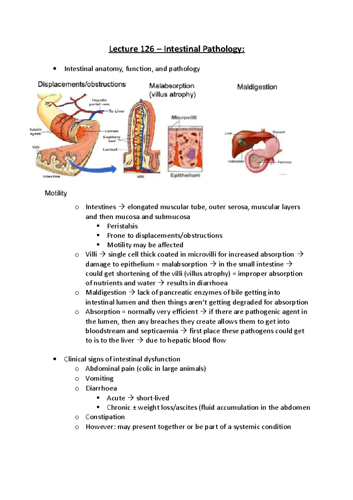 Lecture 126 – Intestinal Pathology - Lecture 126 – Intestinal Pathology ...